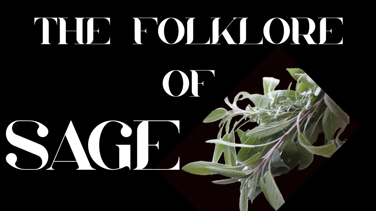 S9 Ep 8 Sage Secrets, Wisdom, Healing & Folklore – my slice of life blog